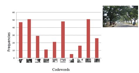 Codewords From Sample Image Download Scientific Diagram