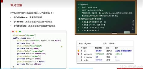 Mybatisplus快速入门 Csdn博客