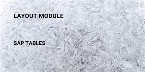 Layout Module Table In Sap