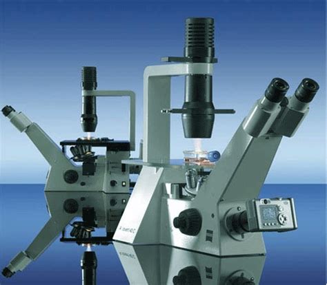 Rcf Culture Cell Imaging System