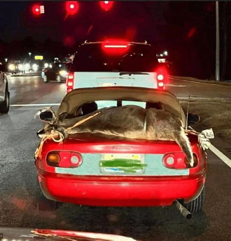 624 Best Killing Machine Images On Pholder Aww Fuck Carscirclejerk