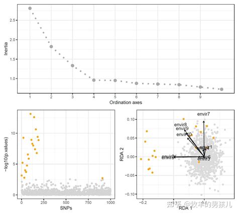 R语言做冗余分析（rda）的一个简单小例子 知乎
