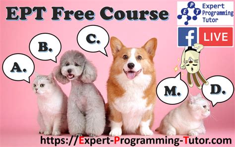 Expert Programming Tutor Online Learning Expert Programming Tutor Online Learning