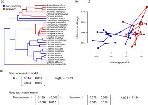 A Simple Hierarchical Model For Heterogeneity In The Evolutionary