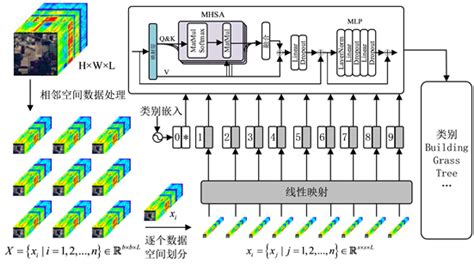 基于transformer模型的高光谱图像分类算法研究