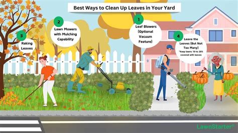 5 Best Ways To Clean Up Leaves In Your Yard