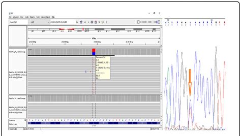 Sequencing Results Igv Browser Visualization Of The Targeted Ngs