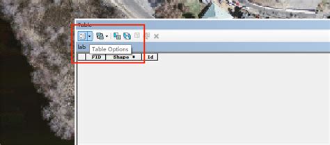 基于arcgis的遥感深度学习数据集制作