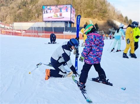엘리시안 강촌 스키강습 비용 어린이강습 전문 더케이 스키스쿨 렌탈샵 네이버 블로그