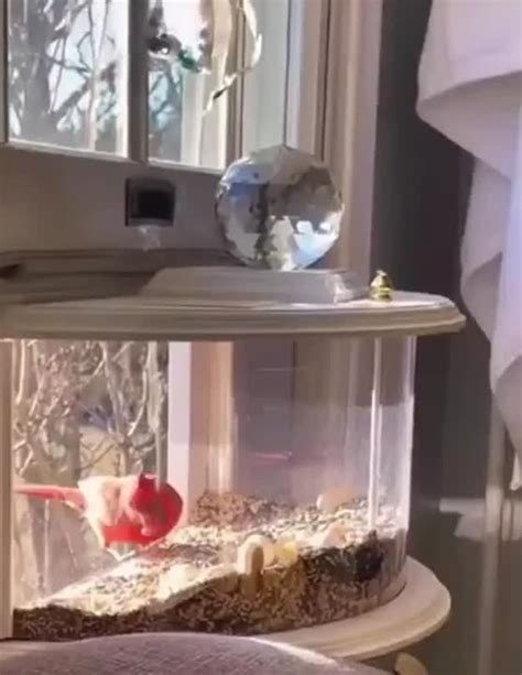 Kris® On Linkedin Vulnerabilities Patch Sqlinjection Sql