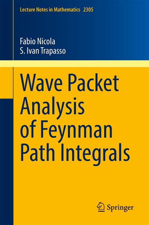 Wave Packet Analysis Of Feynman Path Integrals Lecture Notes In Mathematics Nicola Fabio