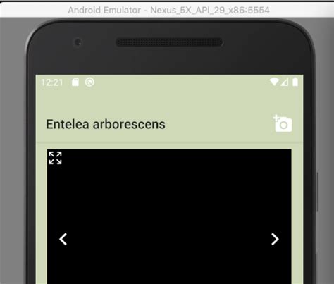 Header Title Doesn T Appear On Android When Also Using HeaderLeft Issue React