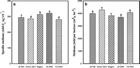Effect Of Cultivars On Specific Methane Yield And Methane Yield Hectare