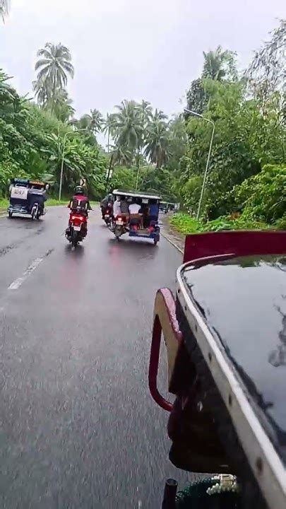 March 29 2025 Youtube