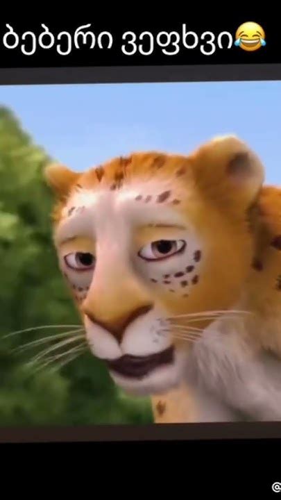ბოლომდე უყურეთ🤣🤣🤣🤣🤣🤣 🤣 Youtube
