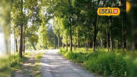 প্রান্তিক রাভা জনজাতির মেয়ে পিঙ্কি রাভা হতে চায় ডাব্লিউবিসিএস অফিসার