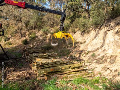 Truck With Yellow Mechanical Crane Picking Up Logs From A Logging Timber Factory Stock Photo
