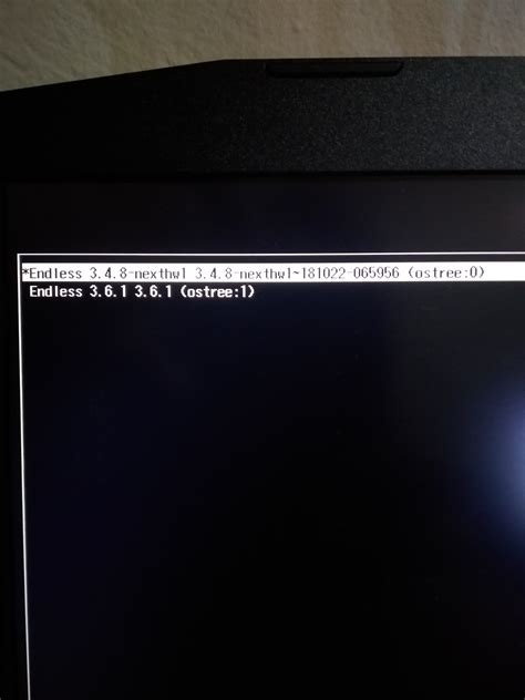 i cannot boot my computer properly help endless os community