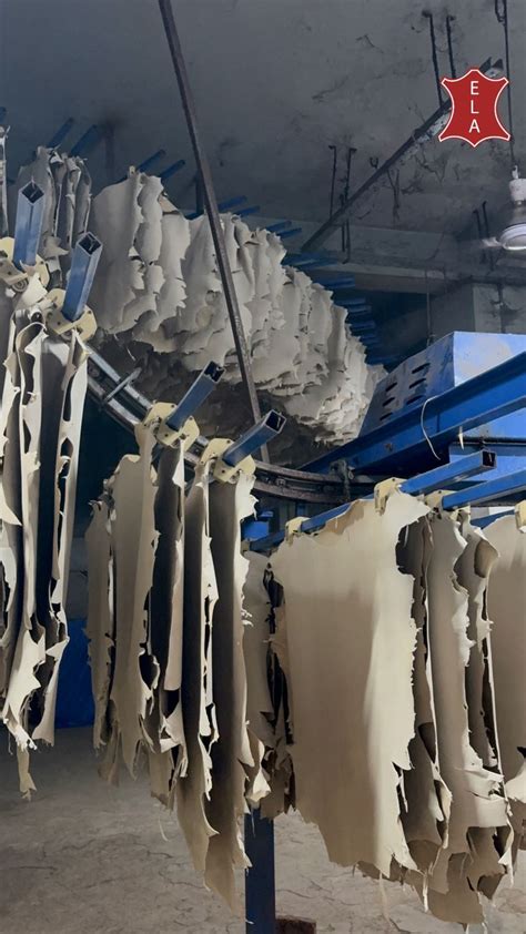 Md Nazirul Islam On Linkedin Goatleather Crustleather Bangladeshorigin Leatherbd Curtidos