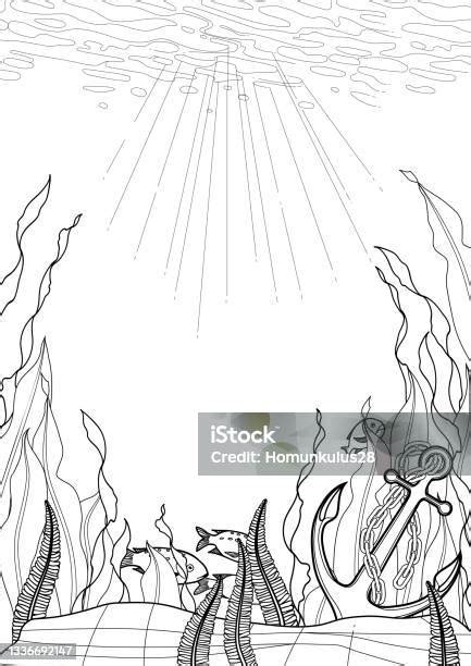 Pemandangan Bawah Air Dari Batu Grafis Jangkar Rumput Laut Dan Ikan Ilustrasi Stok Unduh