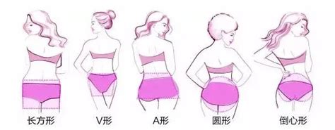 The Shapes Of Hips Academie De Bernadac Academie De Bernadac