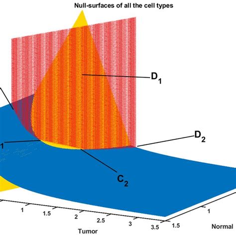 Dynamical Null Space Analysis Of The Drug Free Model And The