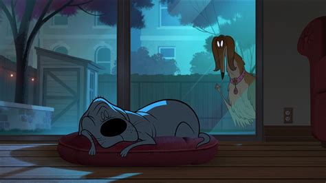 Rach Ciach Cały Film Vider