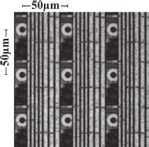 Image of a sub array μ m μ m of the CMOS SPAD Download Scientific Diagram