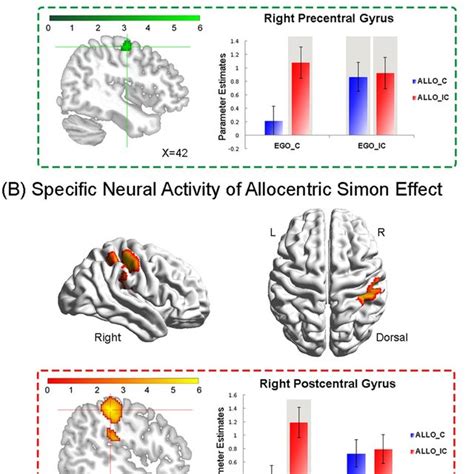 A Common Neural Correlates Underlying The Single Source And The
