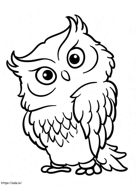 フクロウのぬりえ ぬりえ 塗り絵 塗り絵 無料