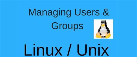 Mastering User And Group Management In Linux Dev Community
