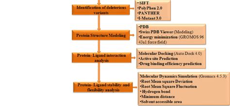 Flow Chart Displays The Work Flow Followed In SNP Analysis Of CDK2 Gene Download Scientific