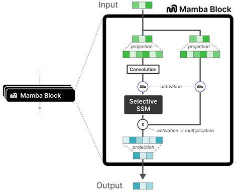 一份关于 mamba 和状态空间模型的可视化指南 csdn博客