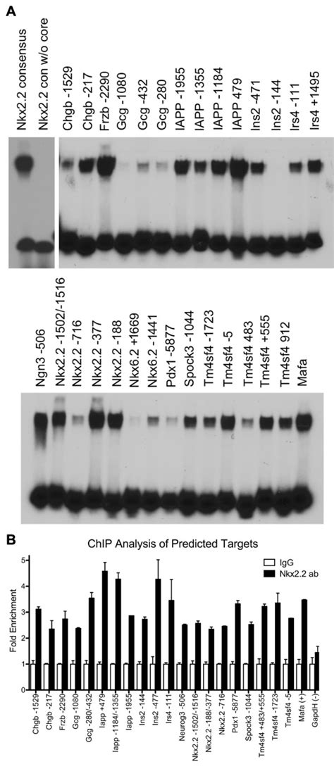 Confirmation Of Pbm Mapping Predicted Sites By Emsa And Chip Analysis