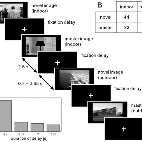 Experimental Design And Stimulus Timing During Encoding A Exemplary Download Scientific