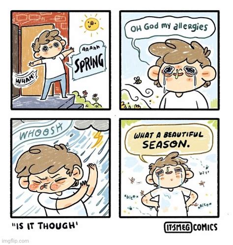 Spring Imgflip
