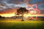 React Testing Library Tutorial