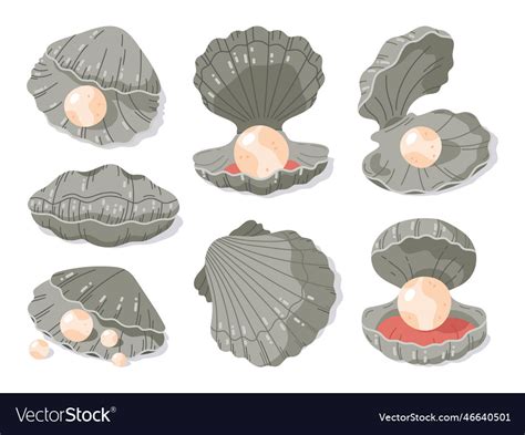 Scallop Seashell With Pearls Open Shells Vector Image