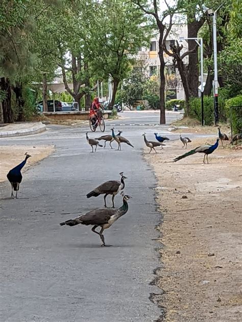 Souradip Ghosh Posted On Linkedin