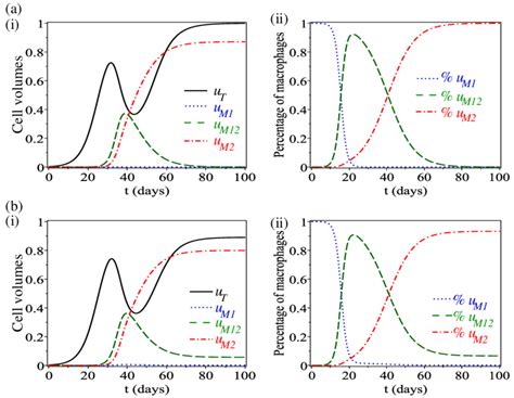 A Dynamics Of Model 1 For The Baseline Parameter Values Listed In Download Scientific