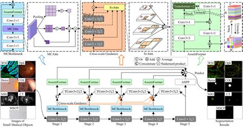 svanet a scale variant attention based network for small medical