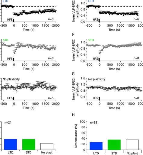 Activity Dependent Synaptic Plasticity At Vlf Cervical Mn Synapses Download Scientific Diagram