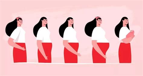 Скільки часу потрібно щоб завагітніти після сексу ᐉ Мережа аптек «Бажаємо здоровя