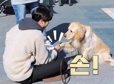 감지 On Twitter 이프도 그 잘생기고 귀여운 형아가 좋지 🥺 Irdbrcelax Twitter