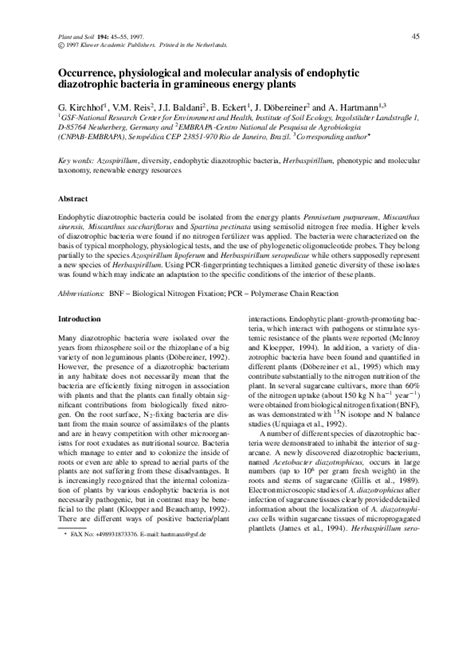 Pdf Occurrence Physiological And Molecular Analysis Of Endophytic Diazotrophic Bacteria In