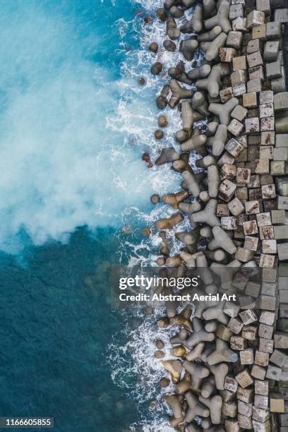 Tetrapod Structure Photos And Premium High Res Pictures Getty Images