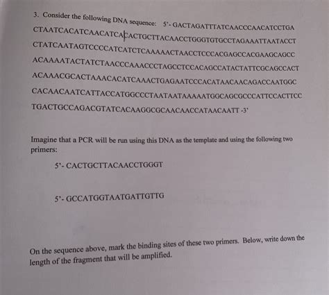 Solved 1 Consider The Following DNA Sequence 5 Chegg Com
