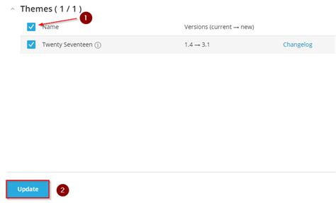 update themes via wp toolkit conetix