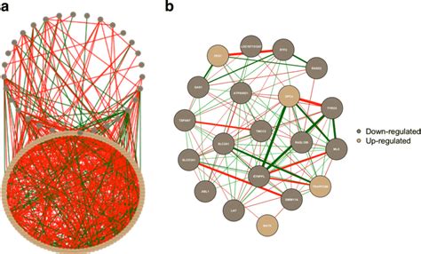 Partial Correlation Networks For All A And The 20 B Most