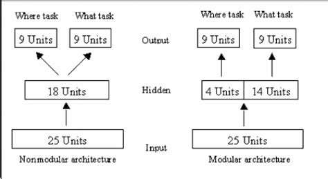 Modular And Nonmodular Network Architectures For Learning The What Task Download Scientific